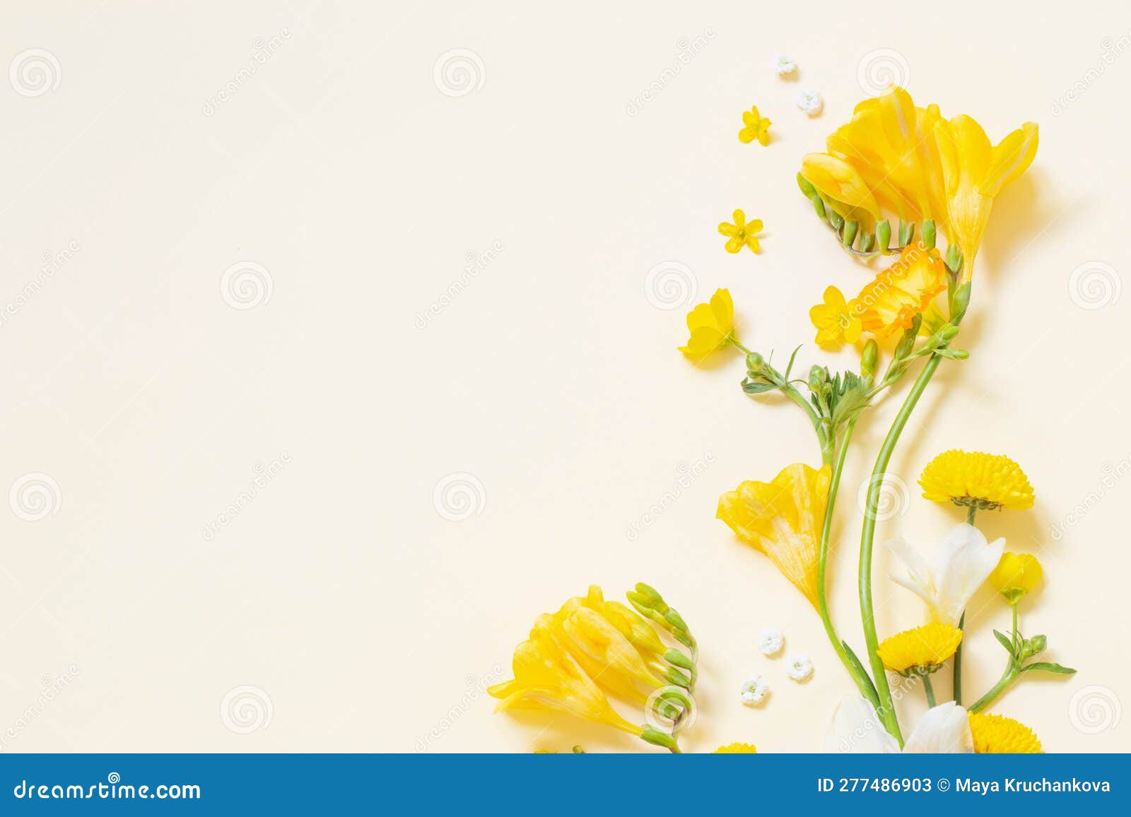 Yellow Flowers on Yellow Paper Background Stock Image - Image of beauty ...