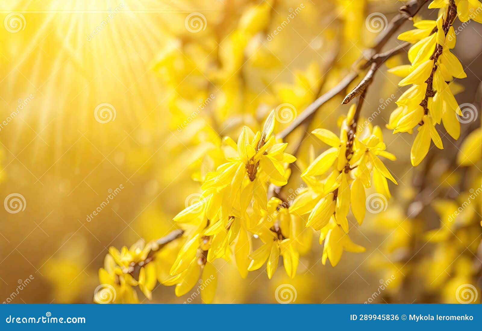 Yellow Flowers on a Tree Branch Stock Illustration - Illustration of ...