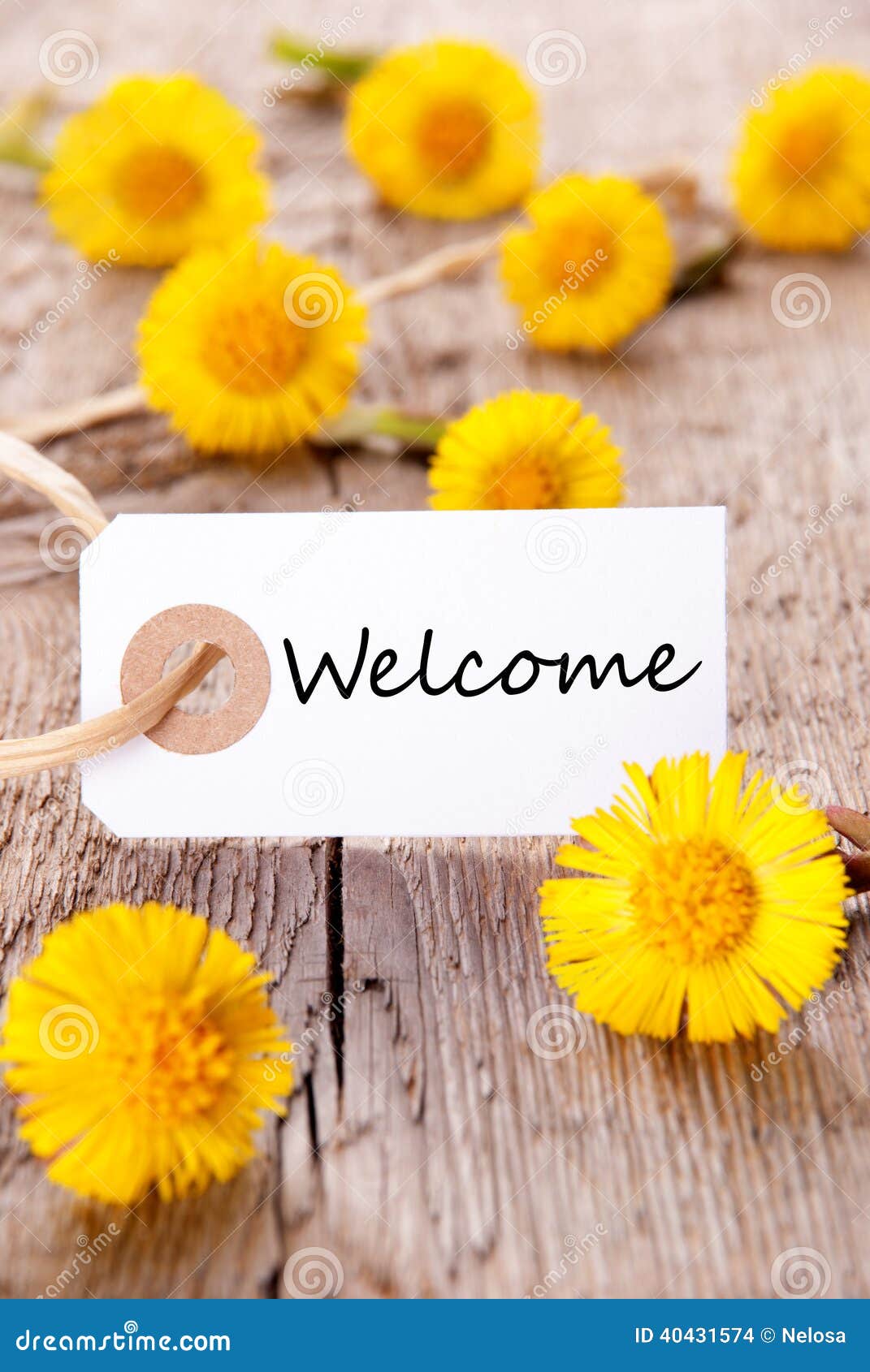 Yellow Flowers With Welcome Stock Photo - Image of banner, card: 40431574