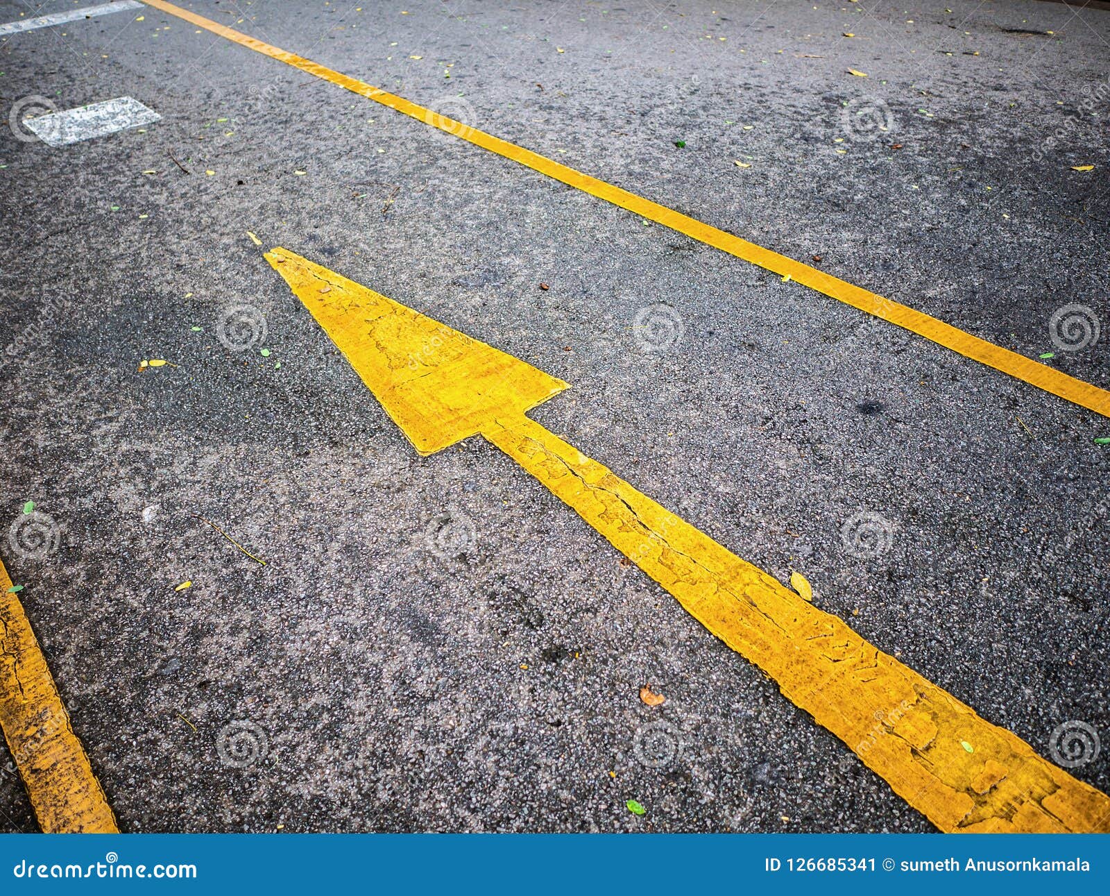 Yellow Forward Sign on the Road in the Park Stock Image - Image of ...