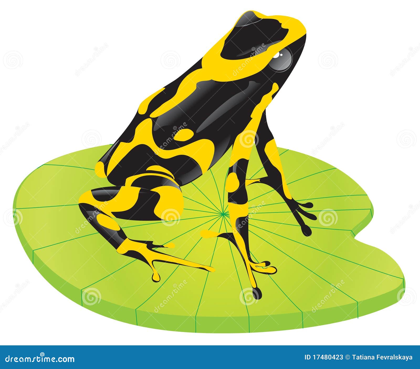 Yellow Frog Cartoon Royalty-Free Illustration | CartoonDealer.com #97008822