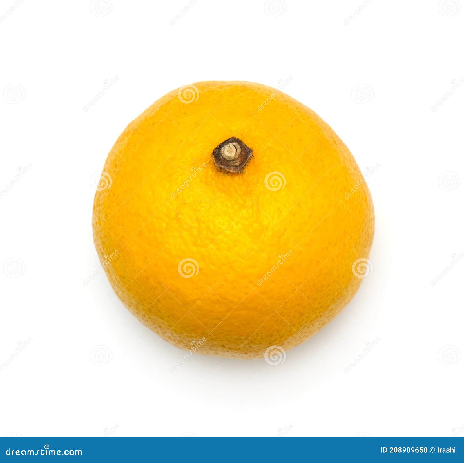 Yellow fruit lemon stock photo. Image of green, sweet - 208909650