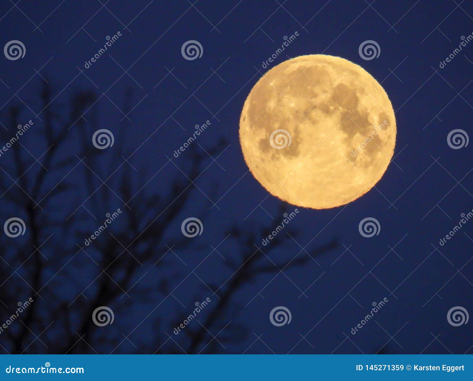 Yellow Full Moon in the Morning Sky Stock Image - Image of dark, luna ...