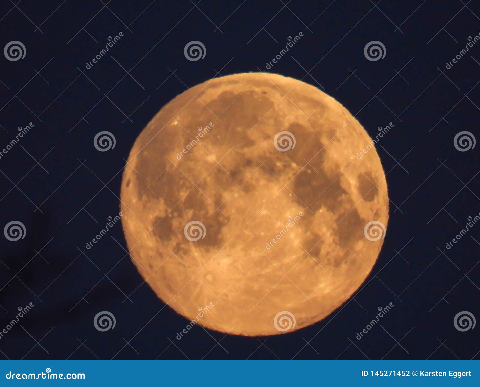 Yellow Full Moon in the Morning Sky Stock Photo - Image of branch ...