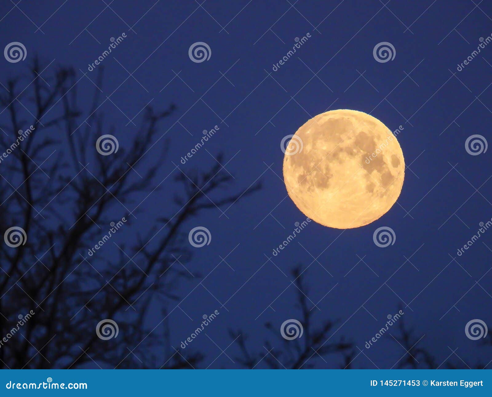 Yellow Full Moon in the Morning Sky Stock Image - Image of isolated ...