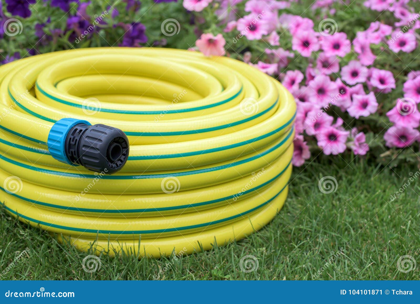 Yellow garden hose pipe stock image. Image of outdoors - 104101871