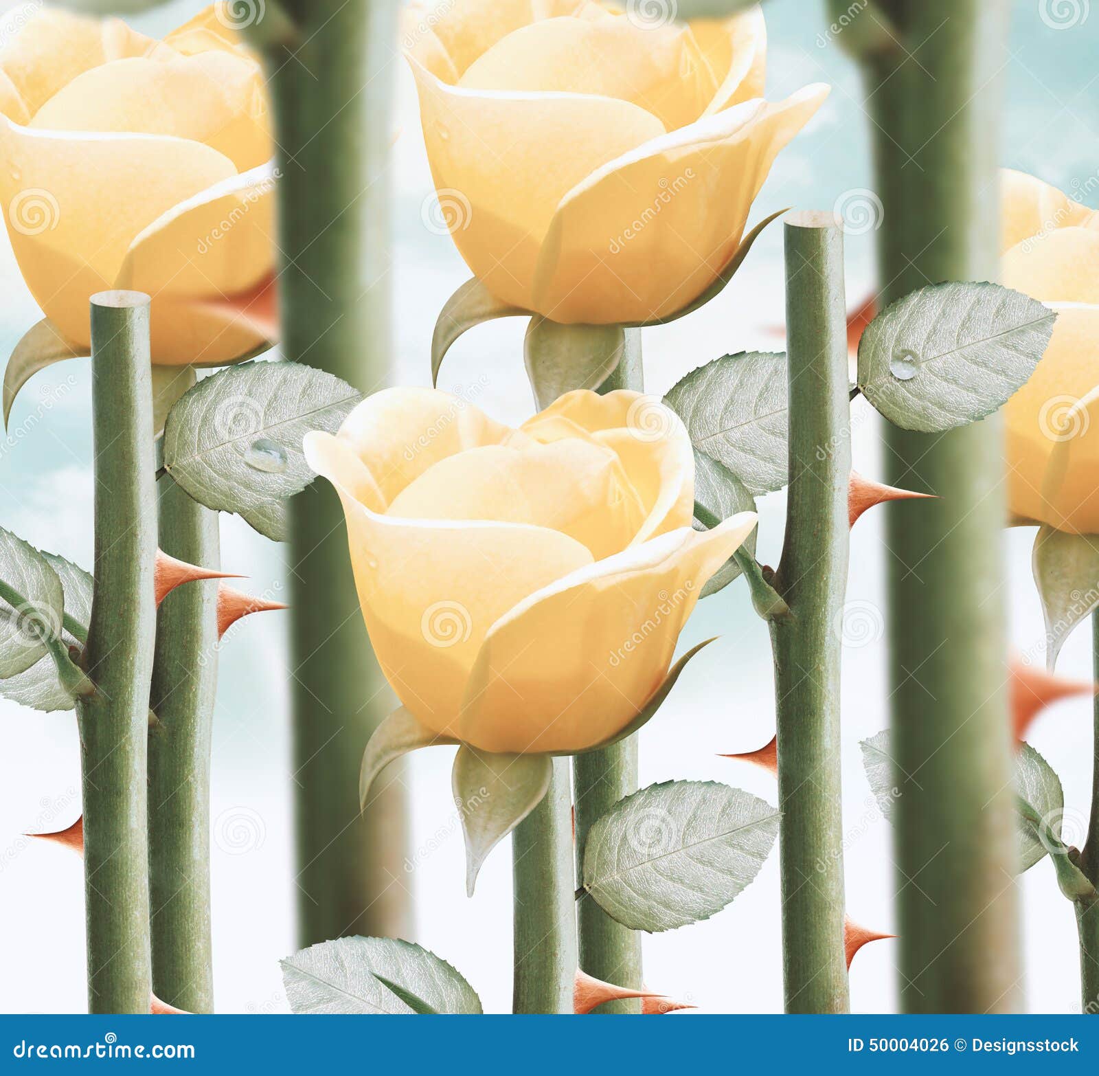 Yellow garden roses stock photo. Image of promise, beautiful - 50004026