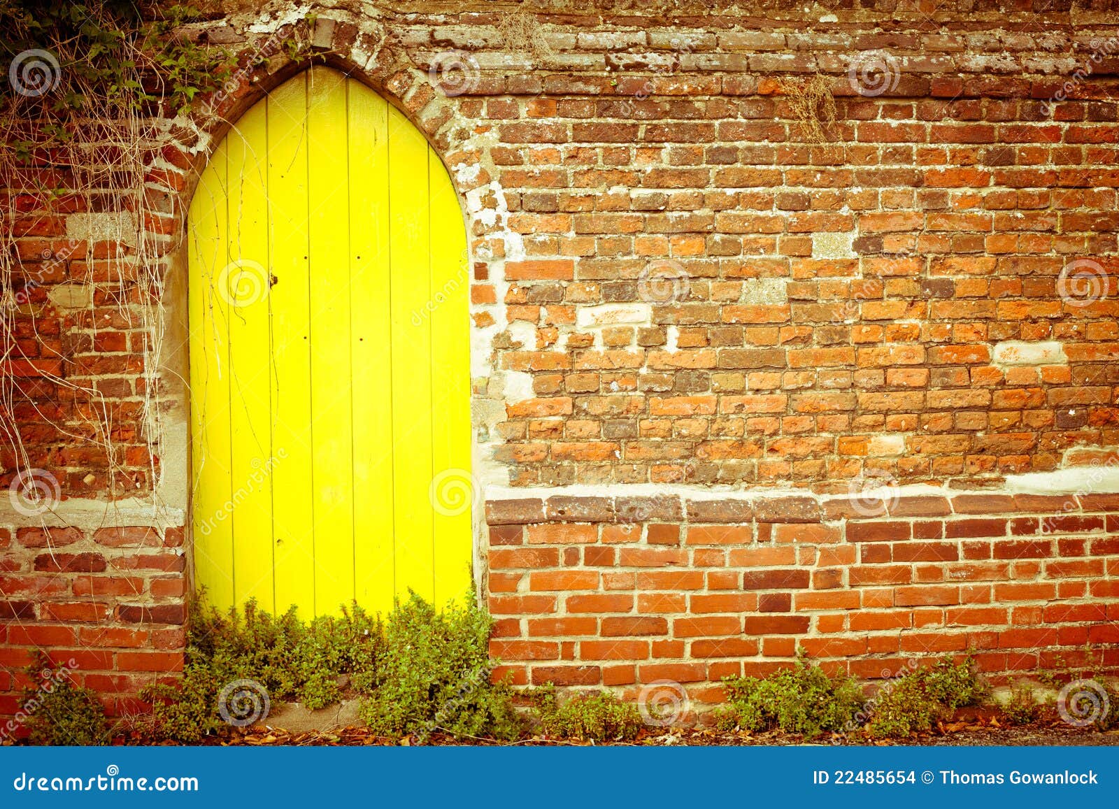 Yellow gateway stock photo. Image of privacy, crumbling - 22485654