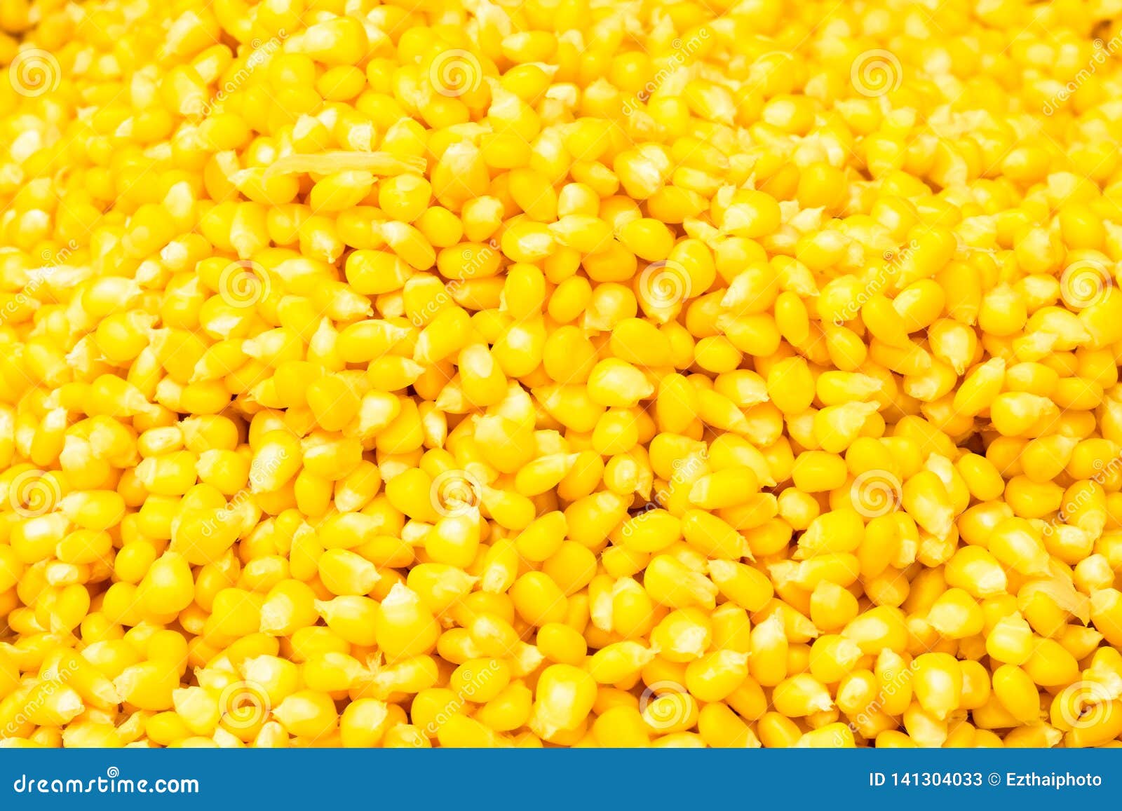 Yellow or Gold Corn Seeds Pattern Textured Background. Background of ...