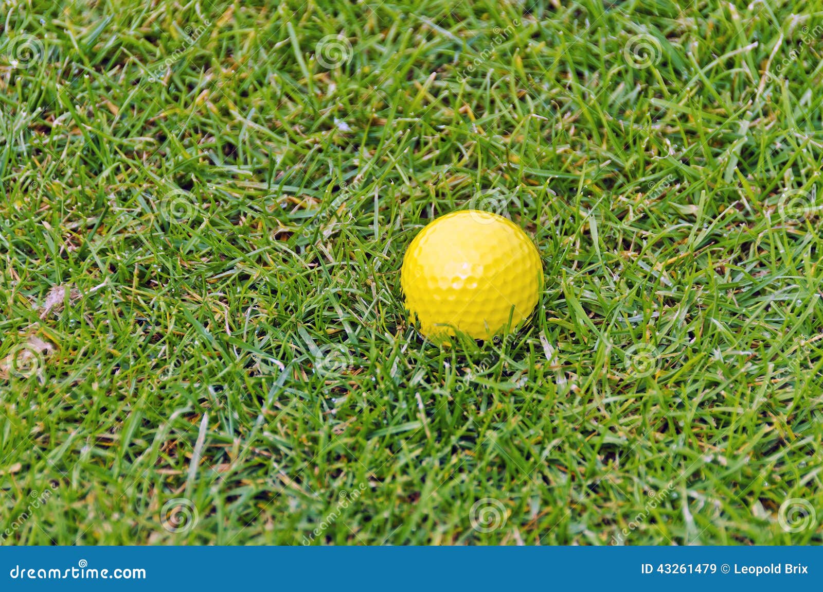 Yellow golf stock image. Image of meadow, sward, lawn - 43261479