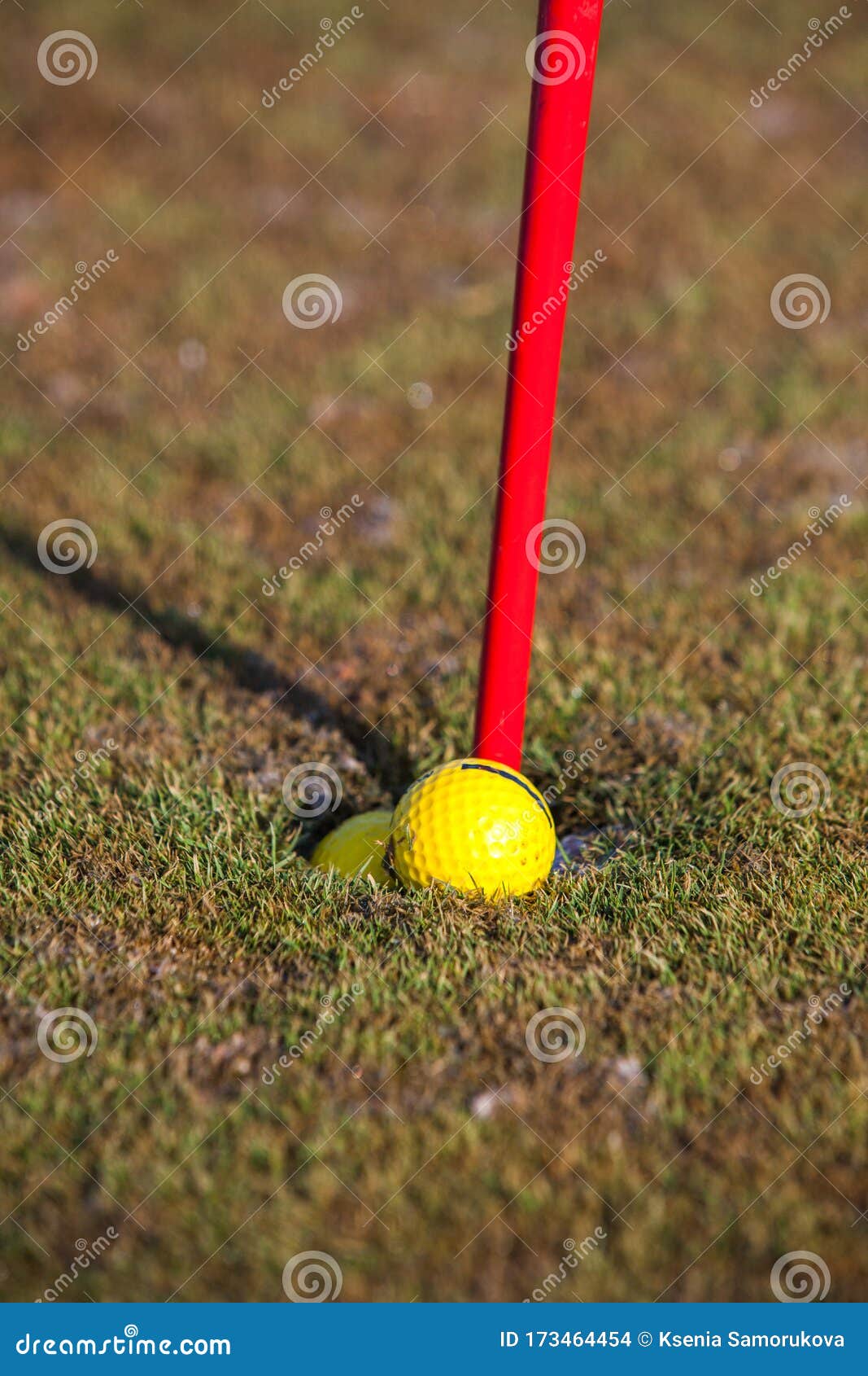 Yellow Golf Ball in the Hole Stock Photo - Image of play, natural ...
