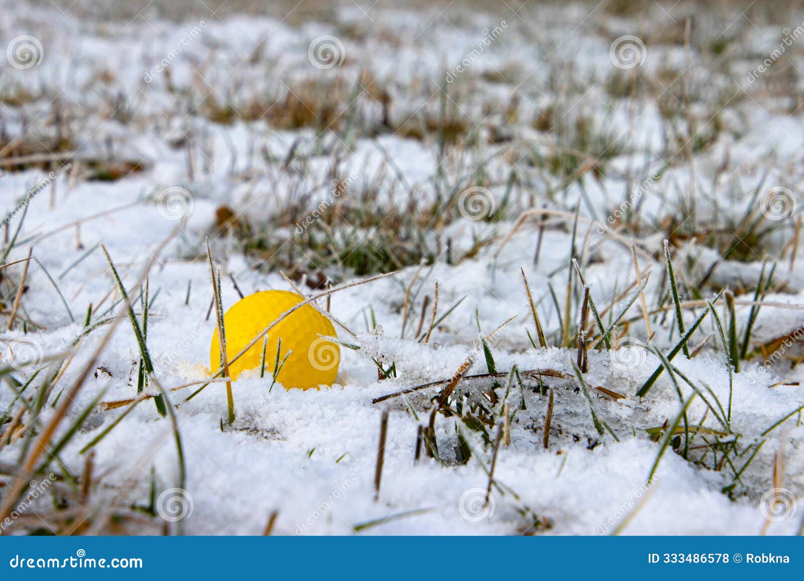 Yellow Golf Ball in the Snow Stock Photo - Image of focus, fairway ...
