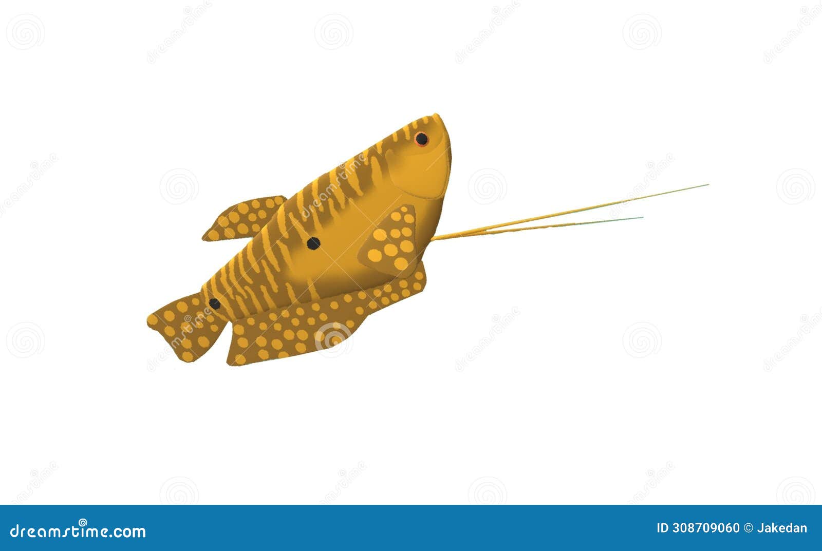 Gourami Fish Isolated On White Or Transparent Background. Close-up Of ... Gourami Fish Isolated On White Or Transparent Background. Close-up Of ...