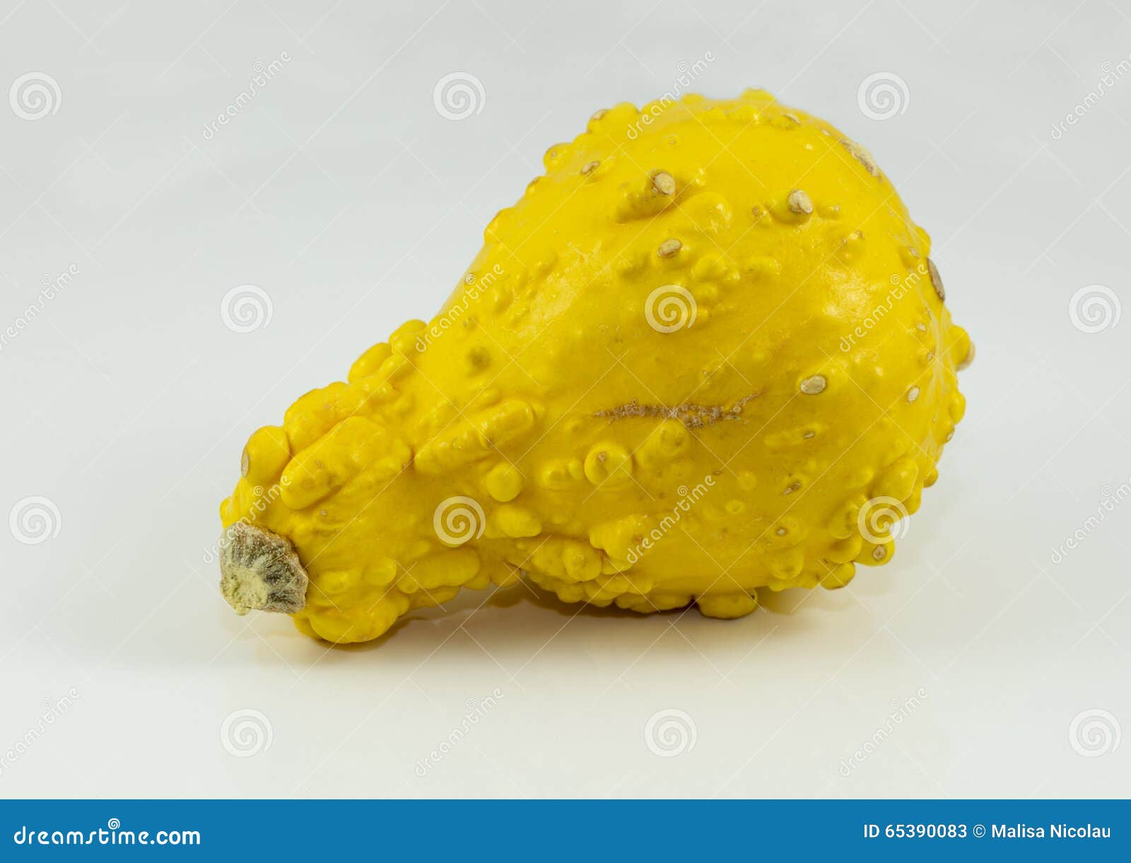 Yellow Gourd for Gourmet Cooking Stock Image - Image of edible ...