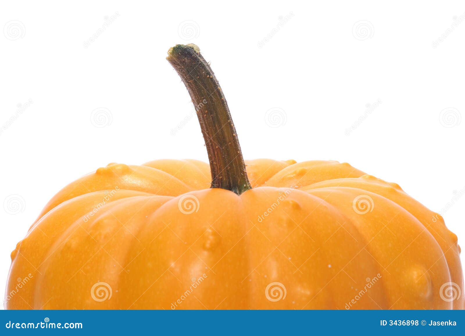 Yellow gourd with stem stock photo. Image of garden, festive - 3436898