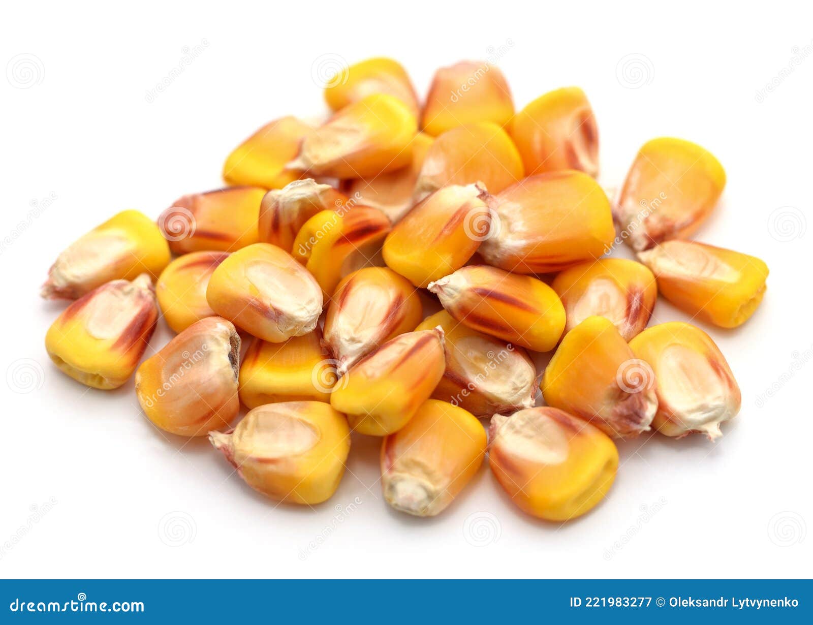 Grain Corn Stock Image | CartoonDealer.com #15458329