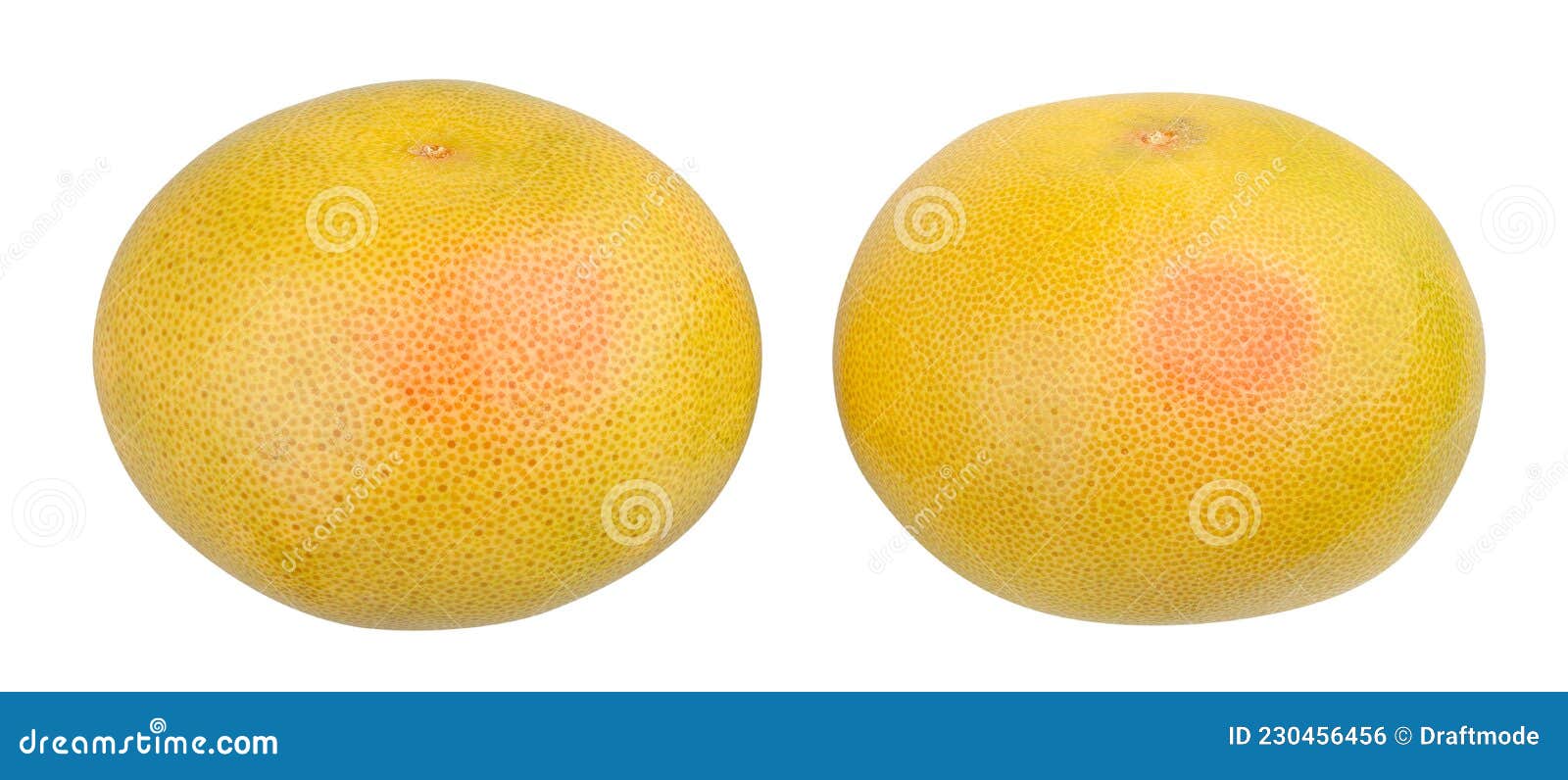 Yellow grapefruit stock photo. Image of closeup, grapefruit - 230456456