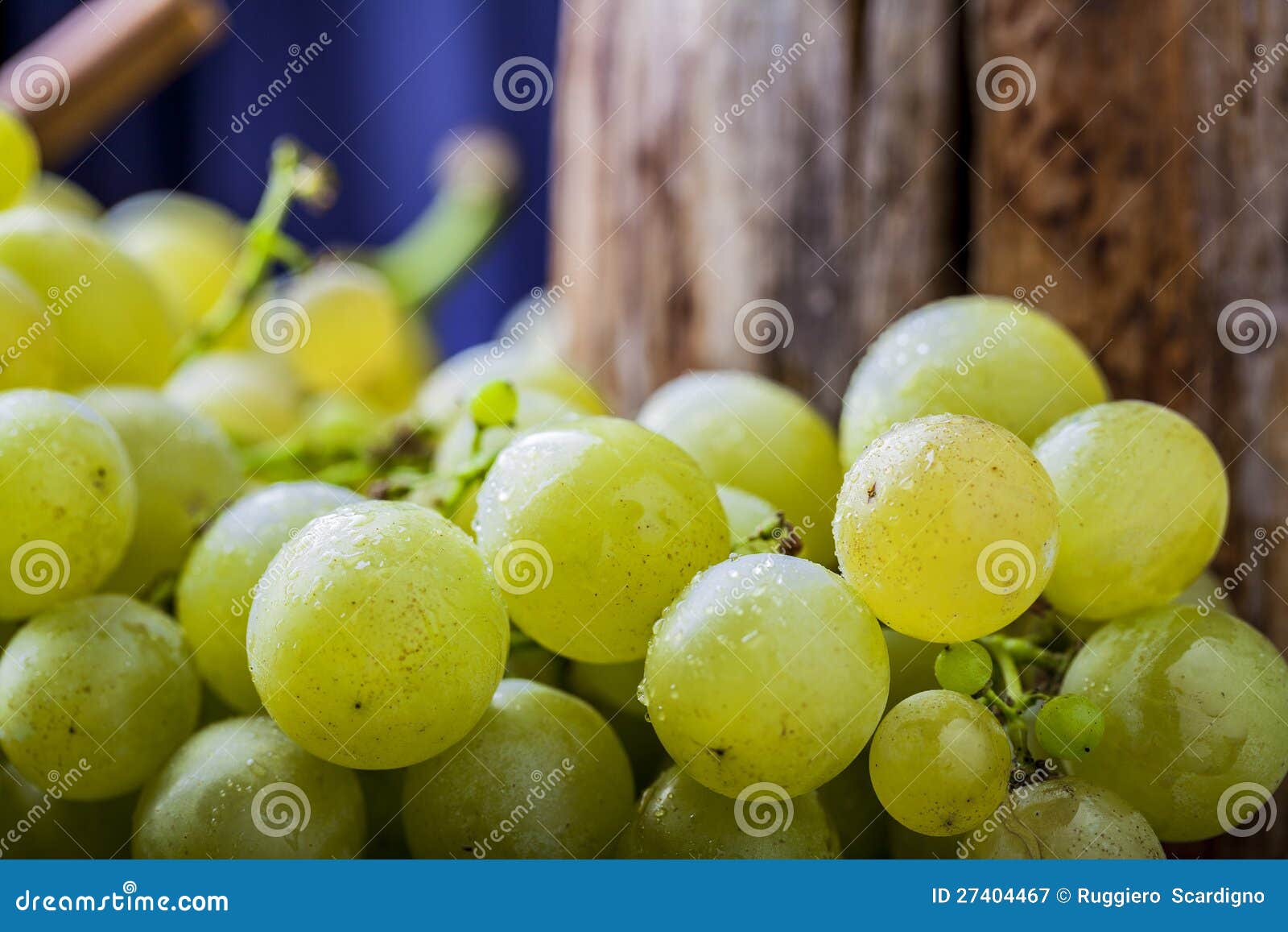 Yellow grapes stock image. Image of italy, fresh, grape - 27404467