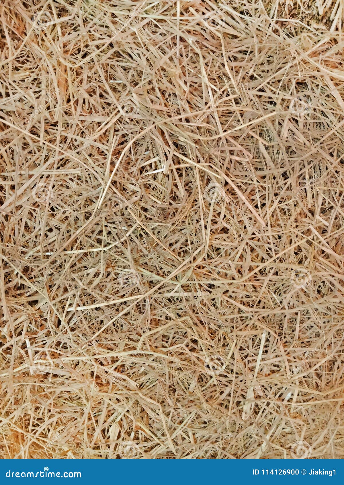 Yellow Grass, Dry Straw Texture and Background Stock Photo - Image of ...