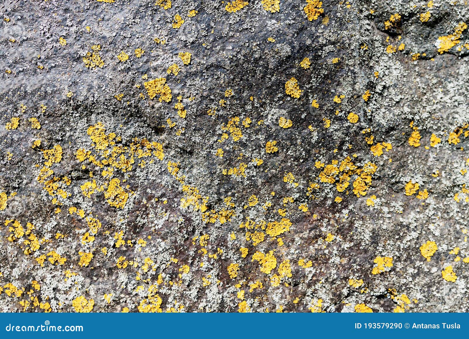 Old Stone with Moss Background Stock Photo - Image of closeup, natural ...