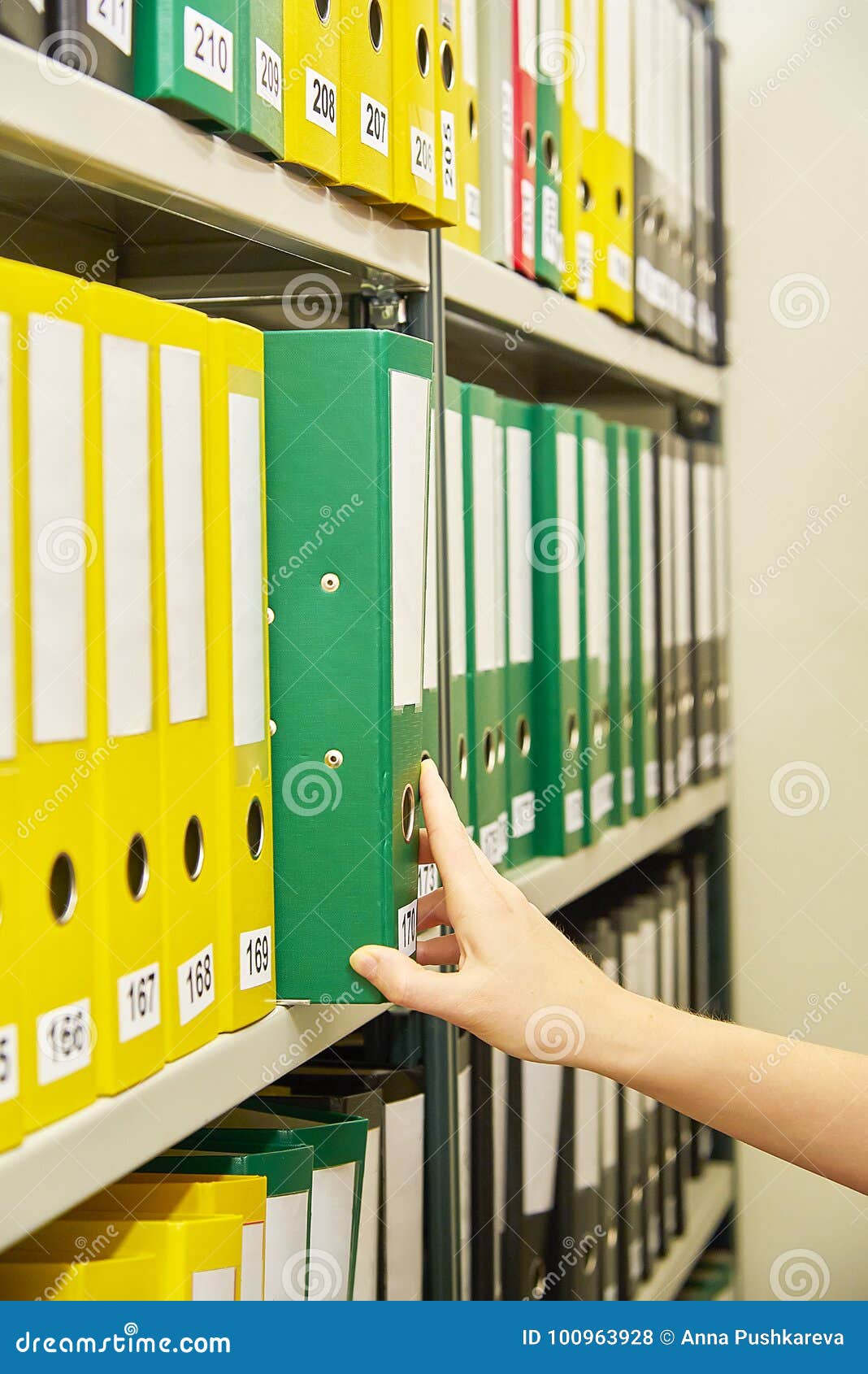 Yellow and Green File Folders in Archive and Human Hand Stock Photo ...