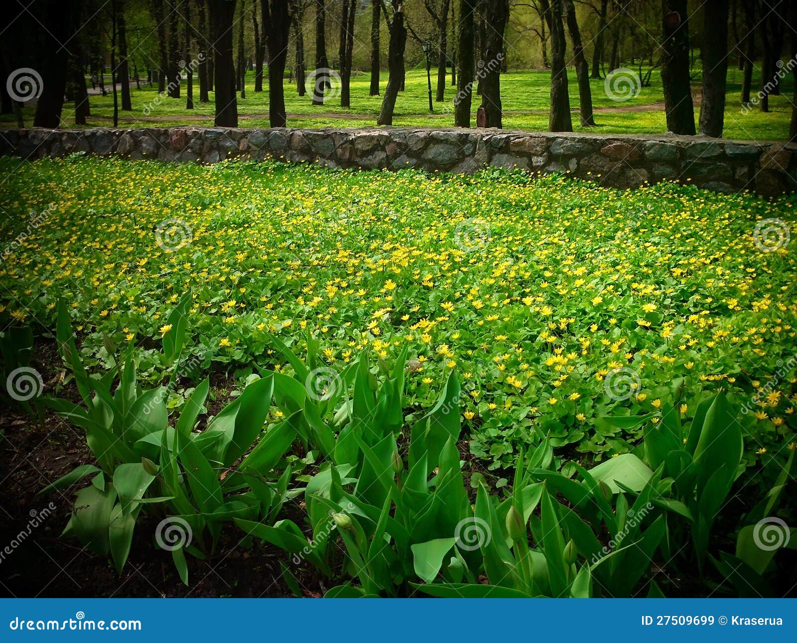Yellow-green floral carpet stock image. Image of place - 27509699