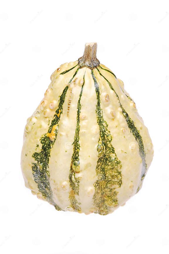 Yellow and Green Gourd stock photo. Image of food, thanksgiving - 3457460
