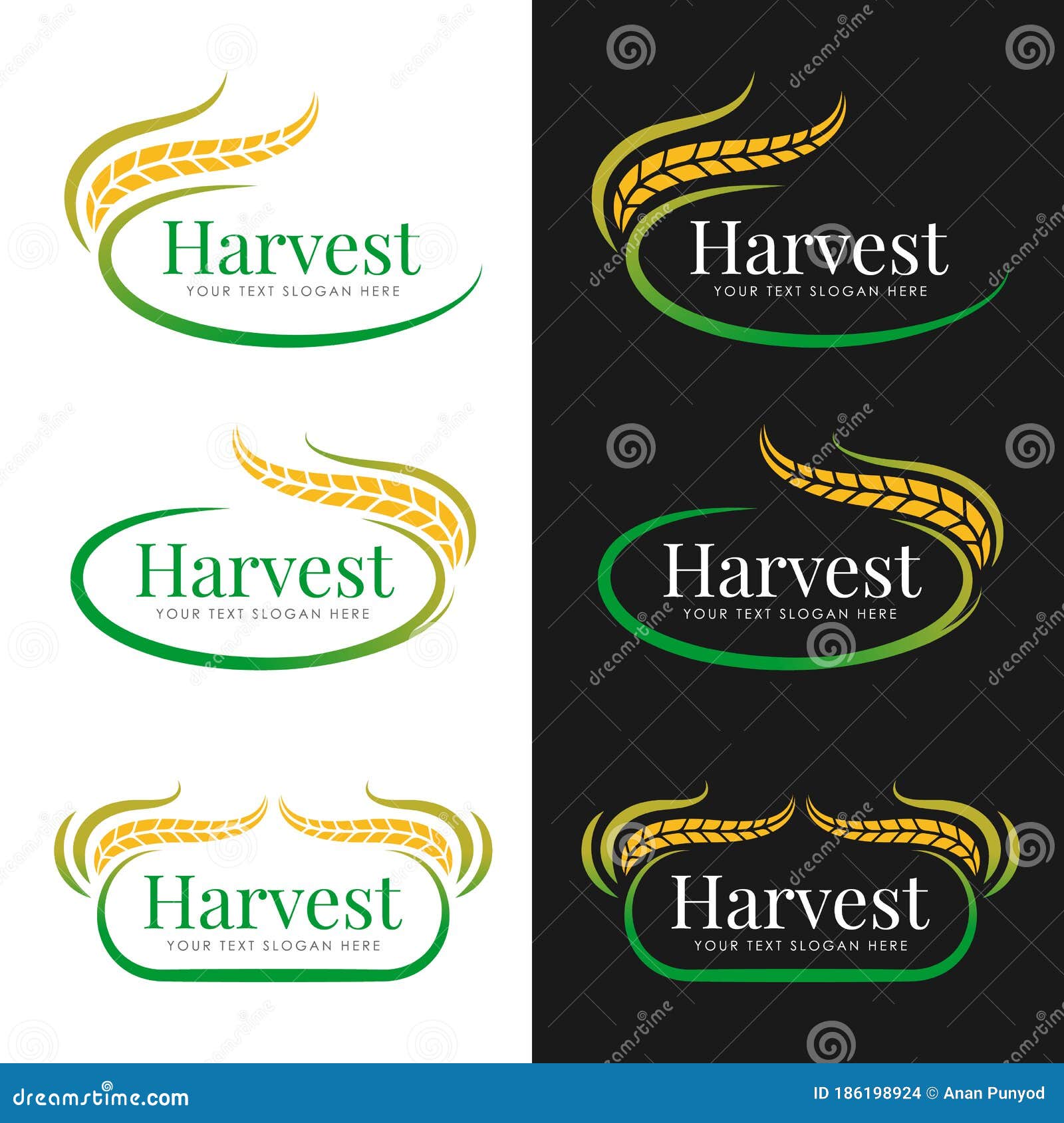 Yellow Green Harvest Paddy Rice Logo Vector Collection Design Stock ...