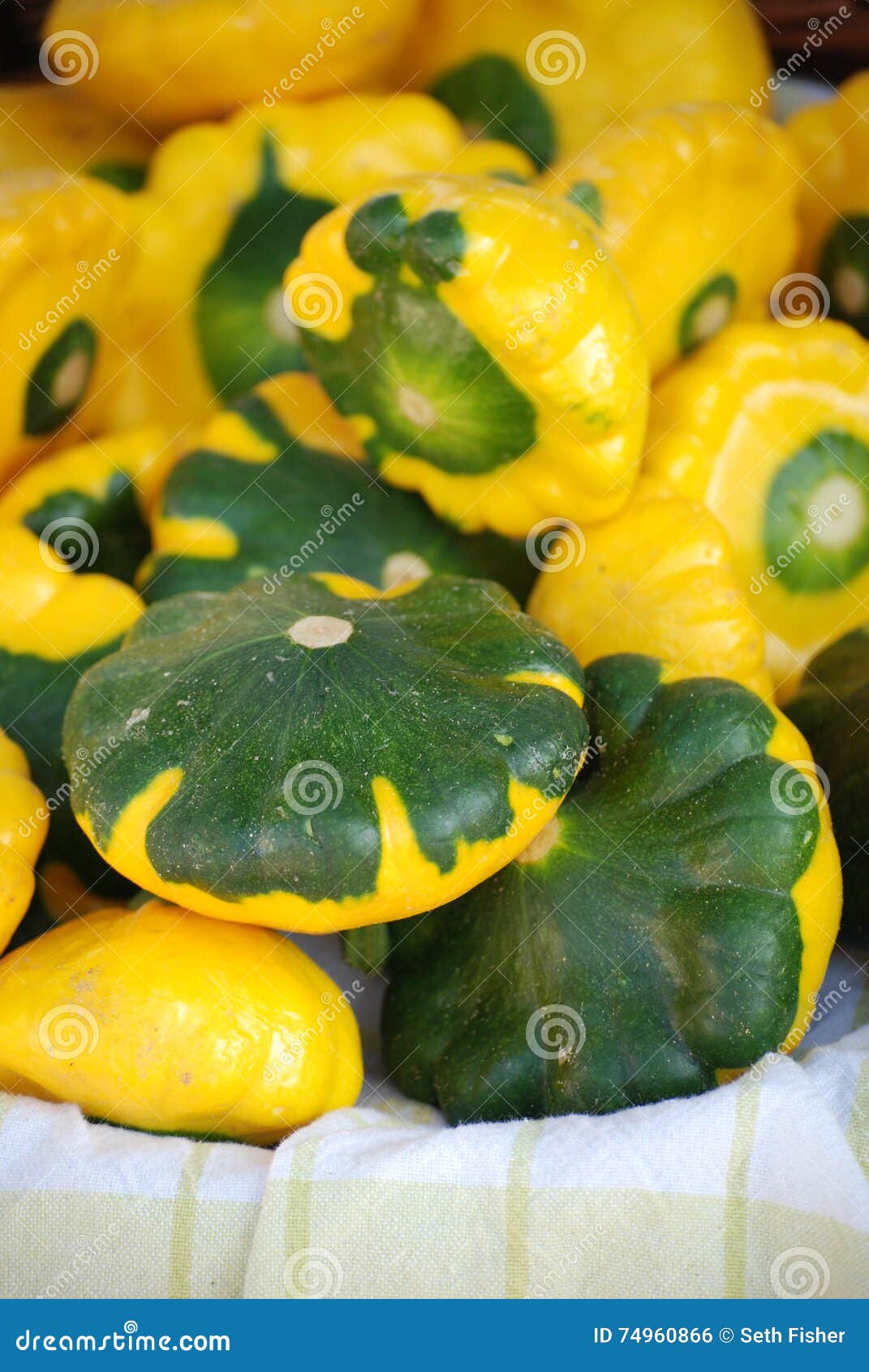 Yellow And Green Patty-Pan Squash Stock Photo - Image of squash ...