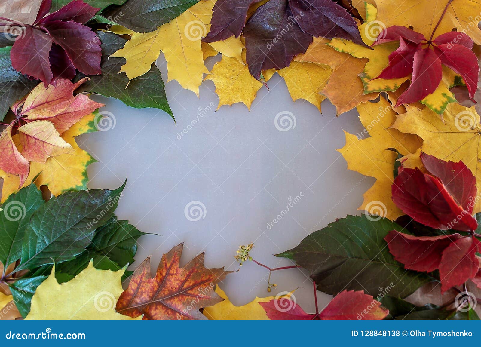 Yellow Green and Red Autumn Leaves on the Table Stock Photo - Image of ...