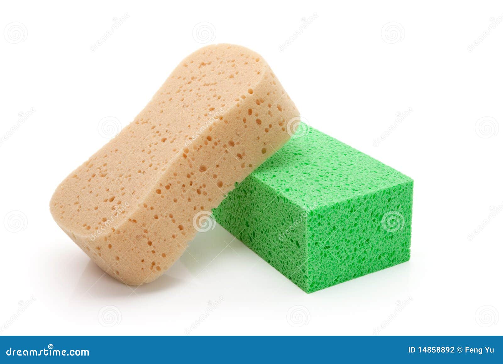 Green Sponge Texture Royalty-Free Stock Image | CartoonDealer.com #36014512