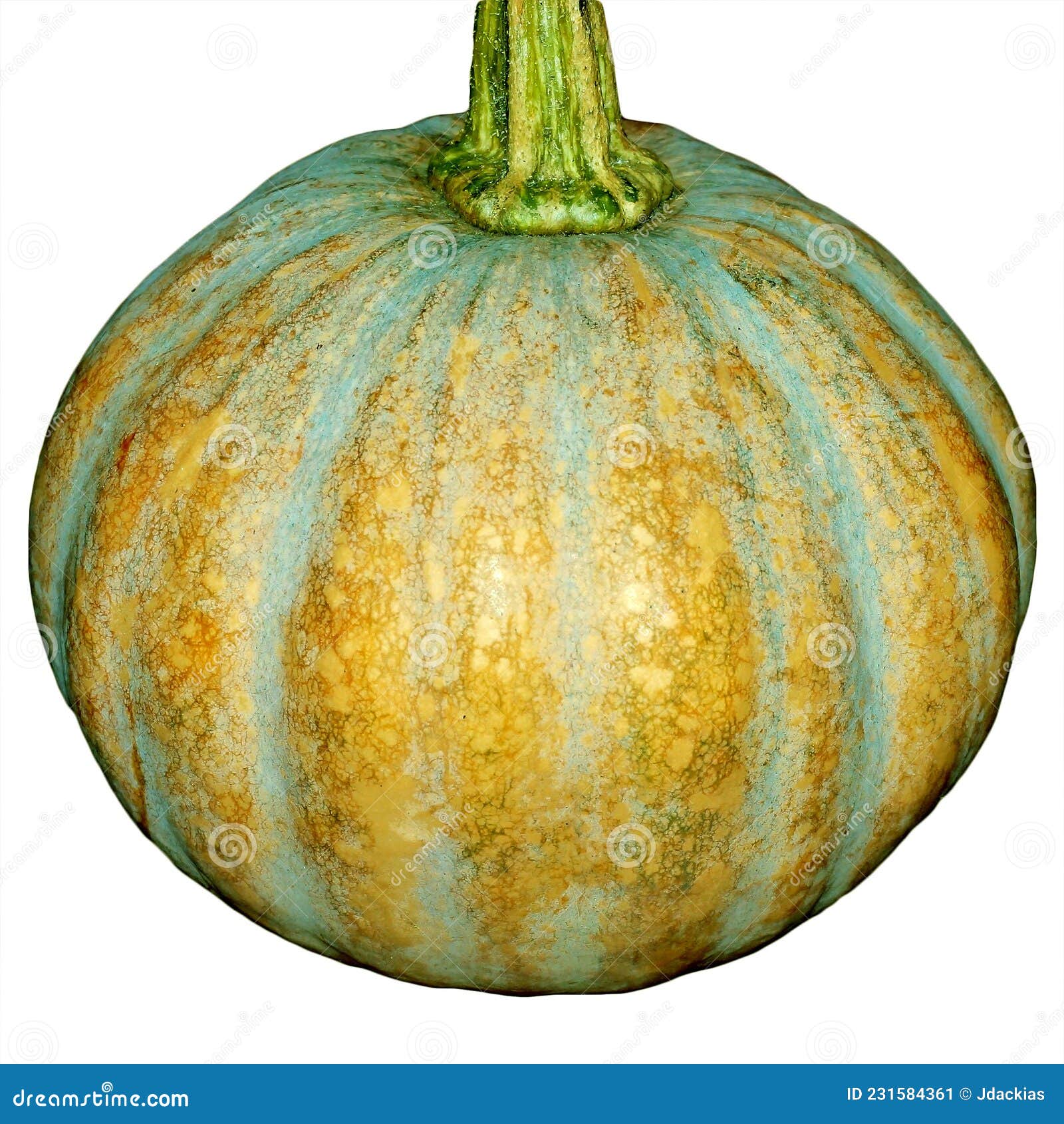 Yellow and Green Squash with Textured Skin Stock Image - Image of ...