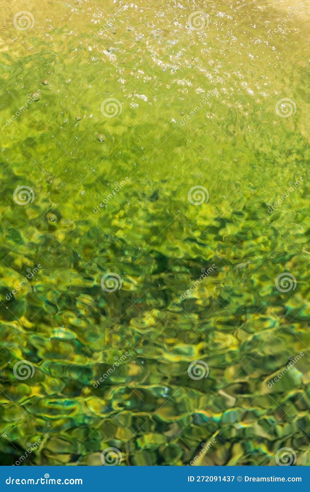 Yellow-green Surface of Flowing Water Close Up Stock Image - Image of ...