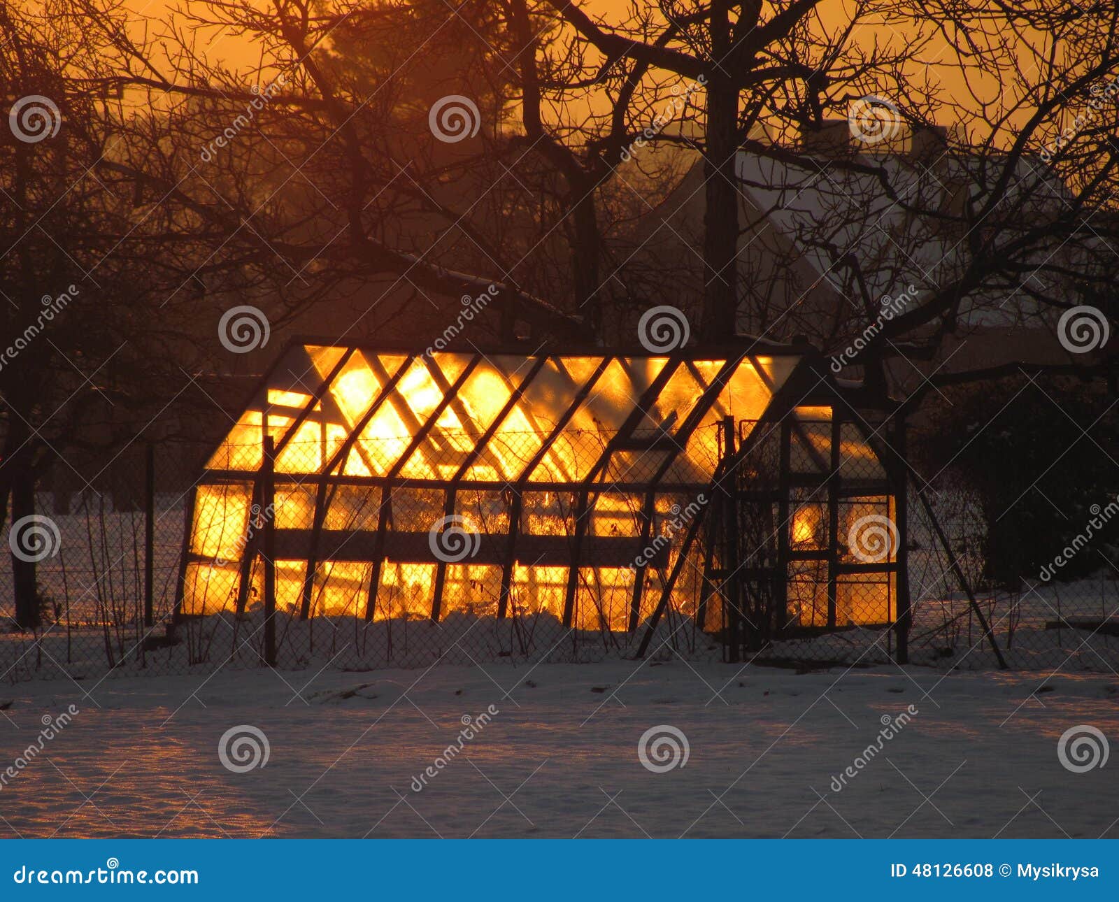 Yellow greenhouse stock photo. Image of snow, growing - 48126608