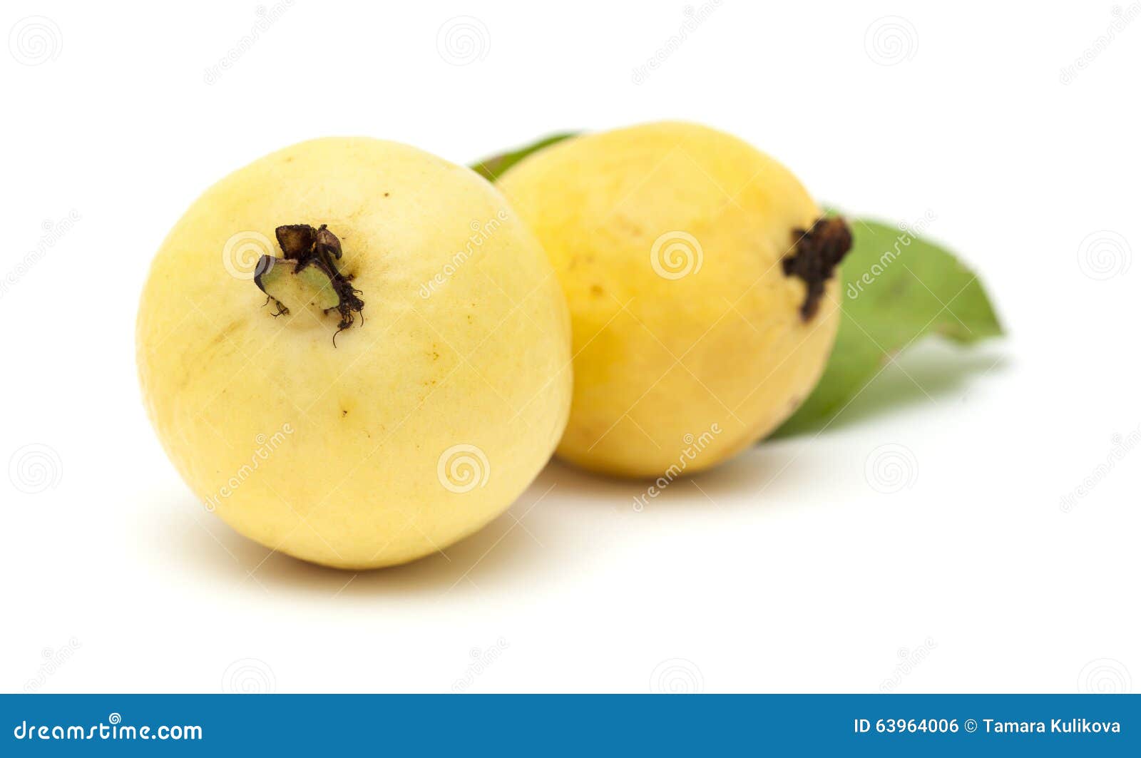 Yellow guava fruit stock photo. Image of food, oval, close - 63964006