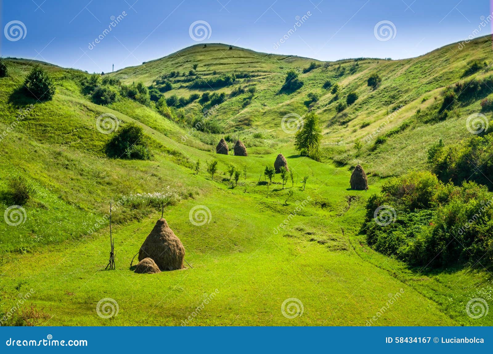 Yellow Haystacks on Green Hills. Stock Image - Image of green, grass ...