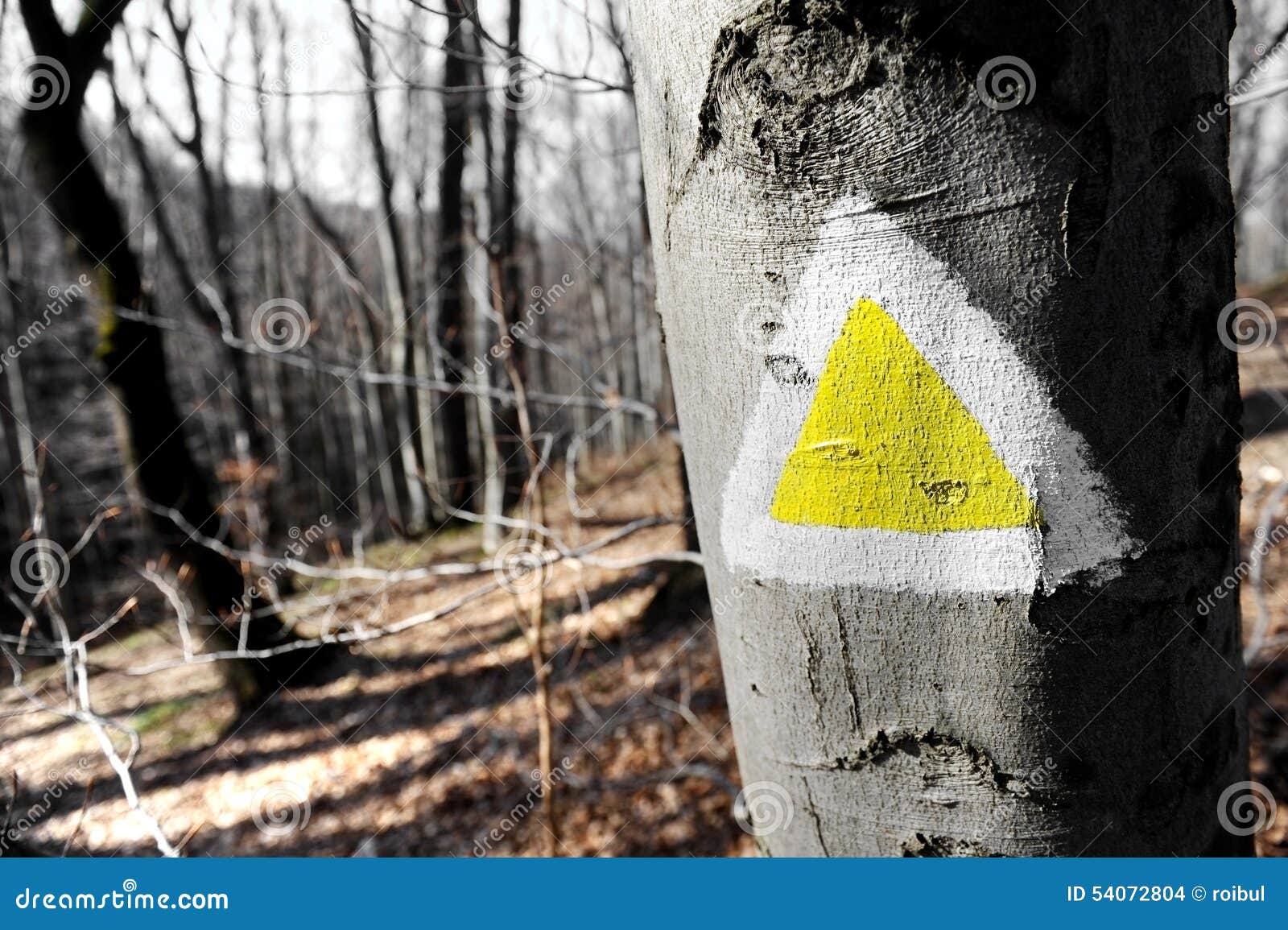 Yellow Hiking Sign on a Tree Stock Photo - Image of silence, sign: 54072804