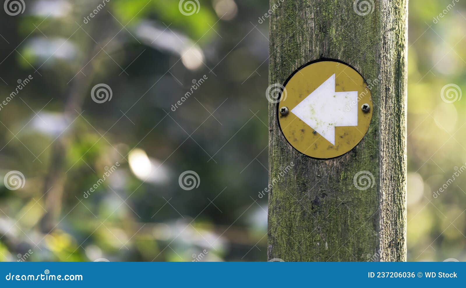 Yellow Hiking Trail Marker Pointing the Direction in the Woods Stock ...
