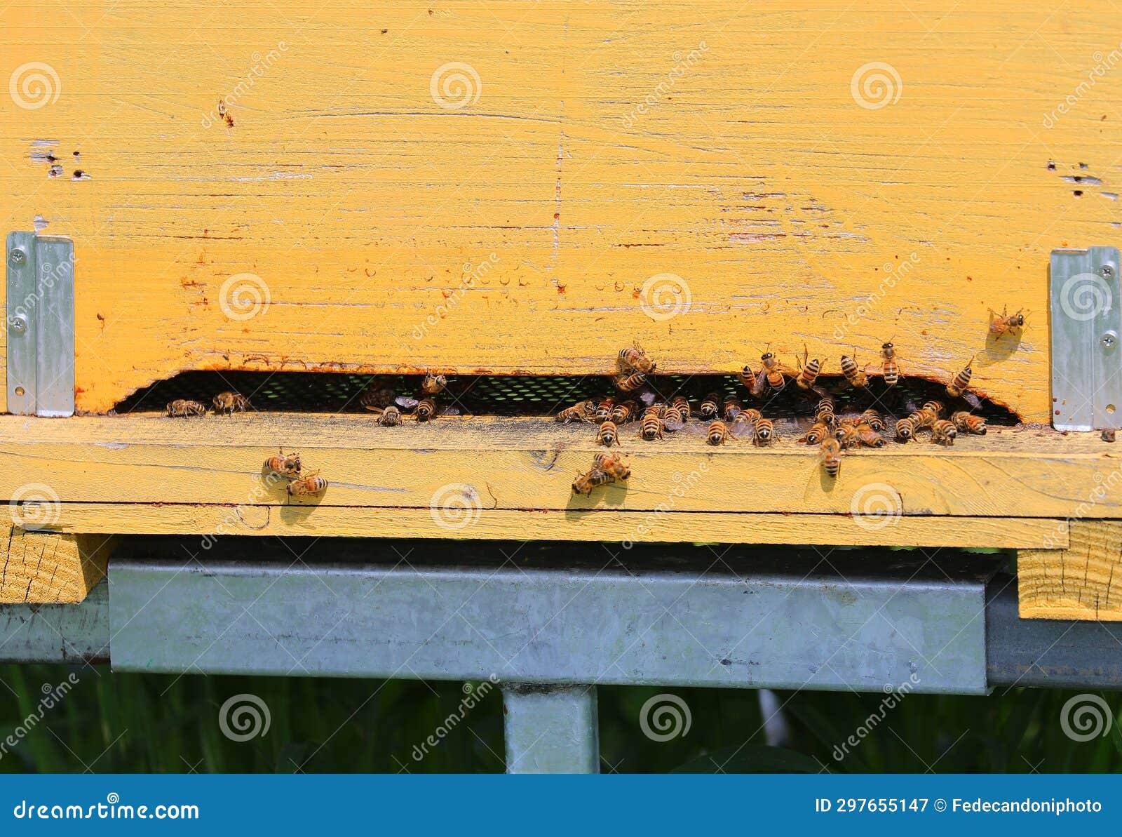 Yellow Hive for Honey Production and Bees Buzzing Around Stock Image ...