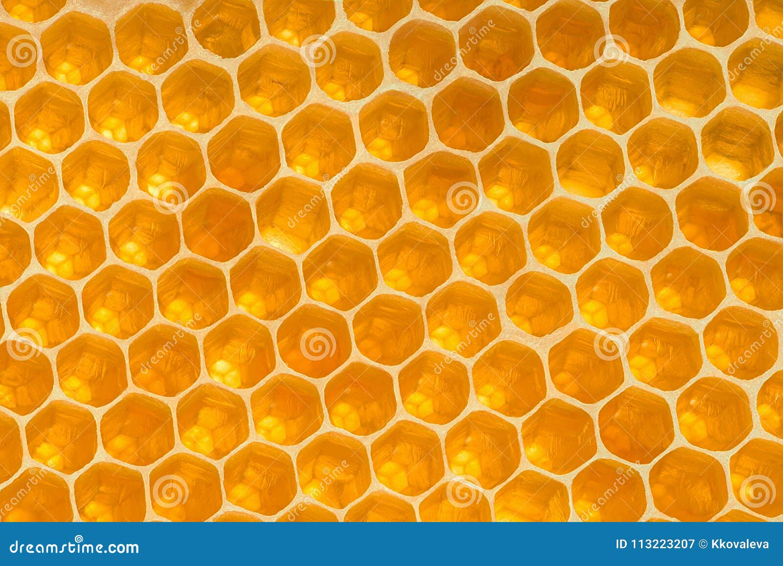 Yellow Honeycomb Background Texture. Honey Hexagon Cells Stock Image ...