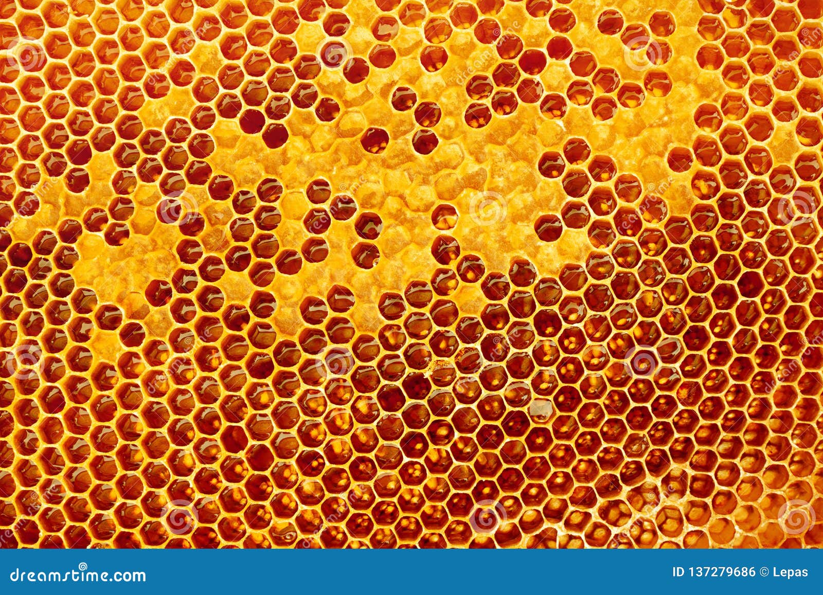 Yellow Honeycomb Closeup Background Stock Photo - Image of gold ...