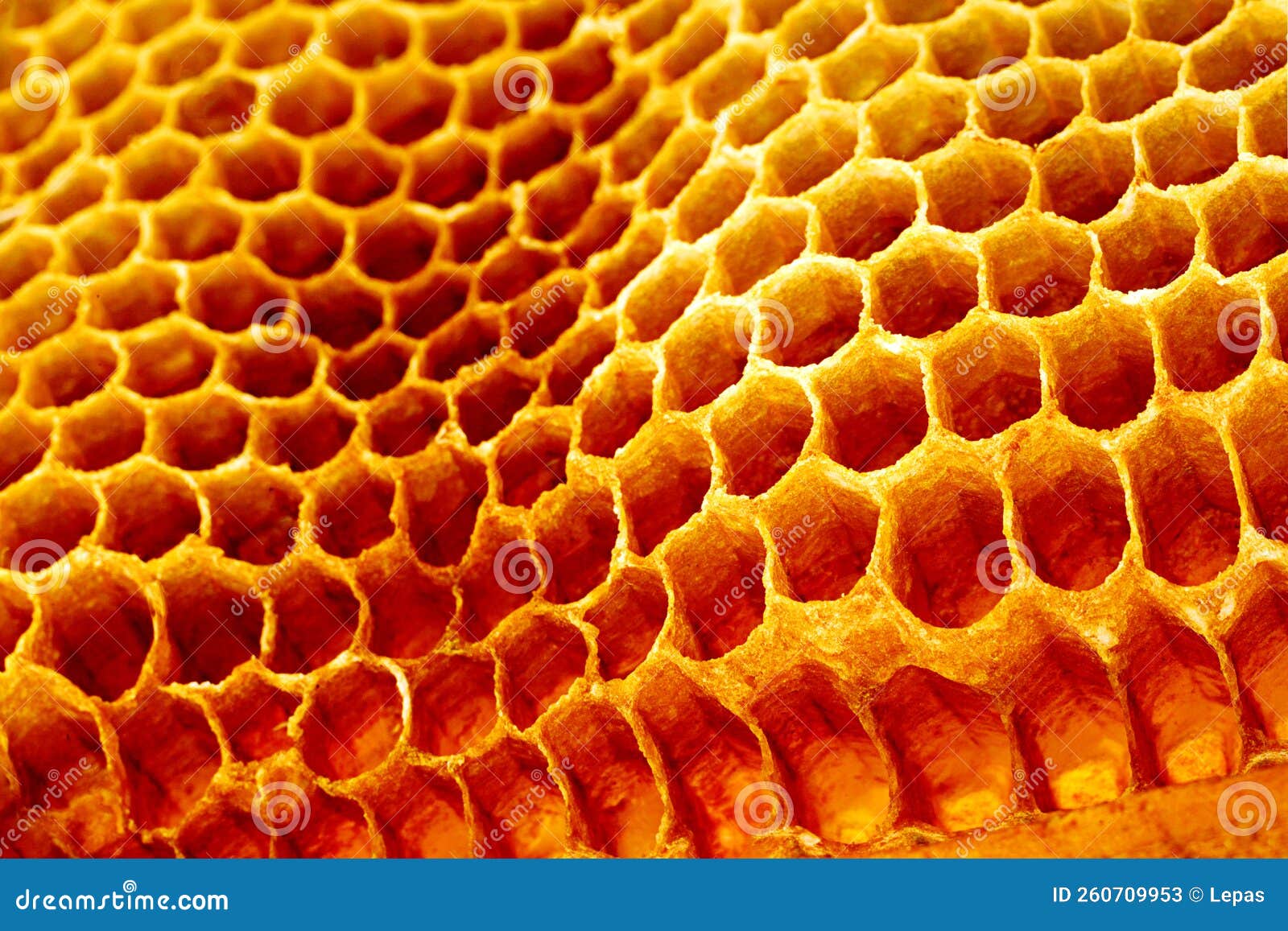 Yellow Honeycomb Closeup Structure Stock Image - Image of texture, comb ...
