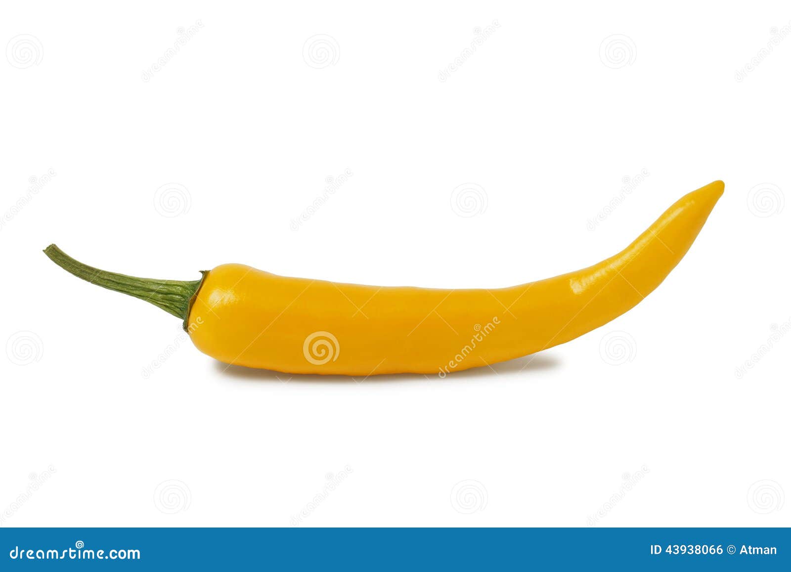 Yellow hot chili pepper stock photo. Image of spice, peper - 43938066