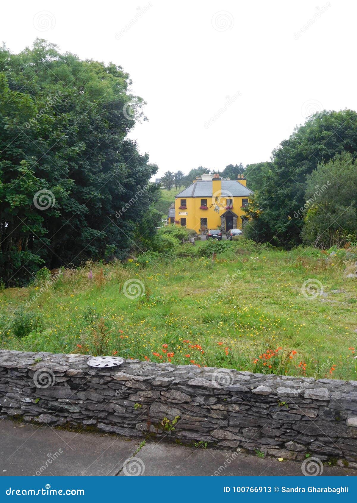 Yellow House editorial stock photo. Image of trees, manor - 100766913