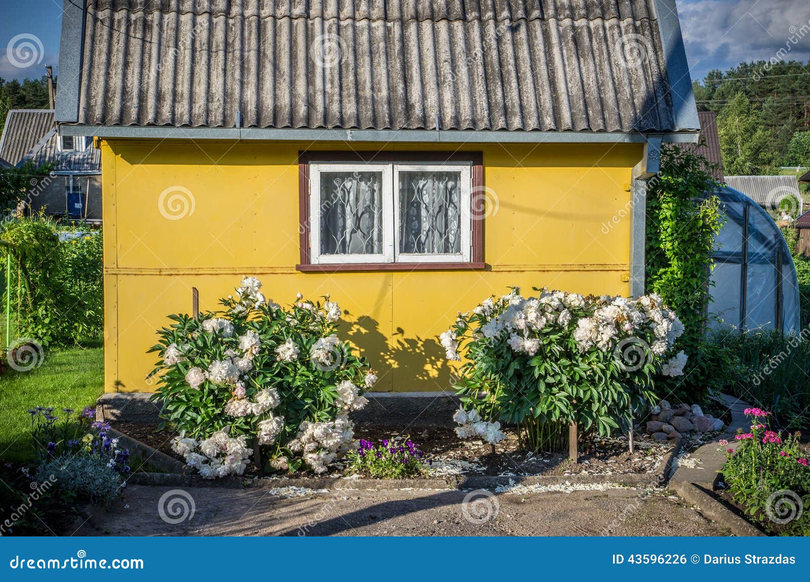 Yellow house stock photo. Image of nature, close, window - 43596226