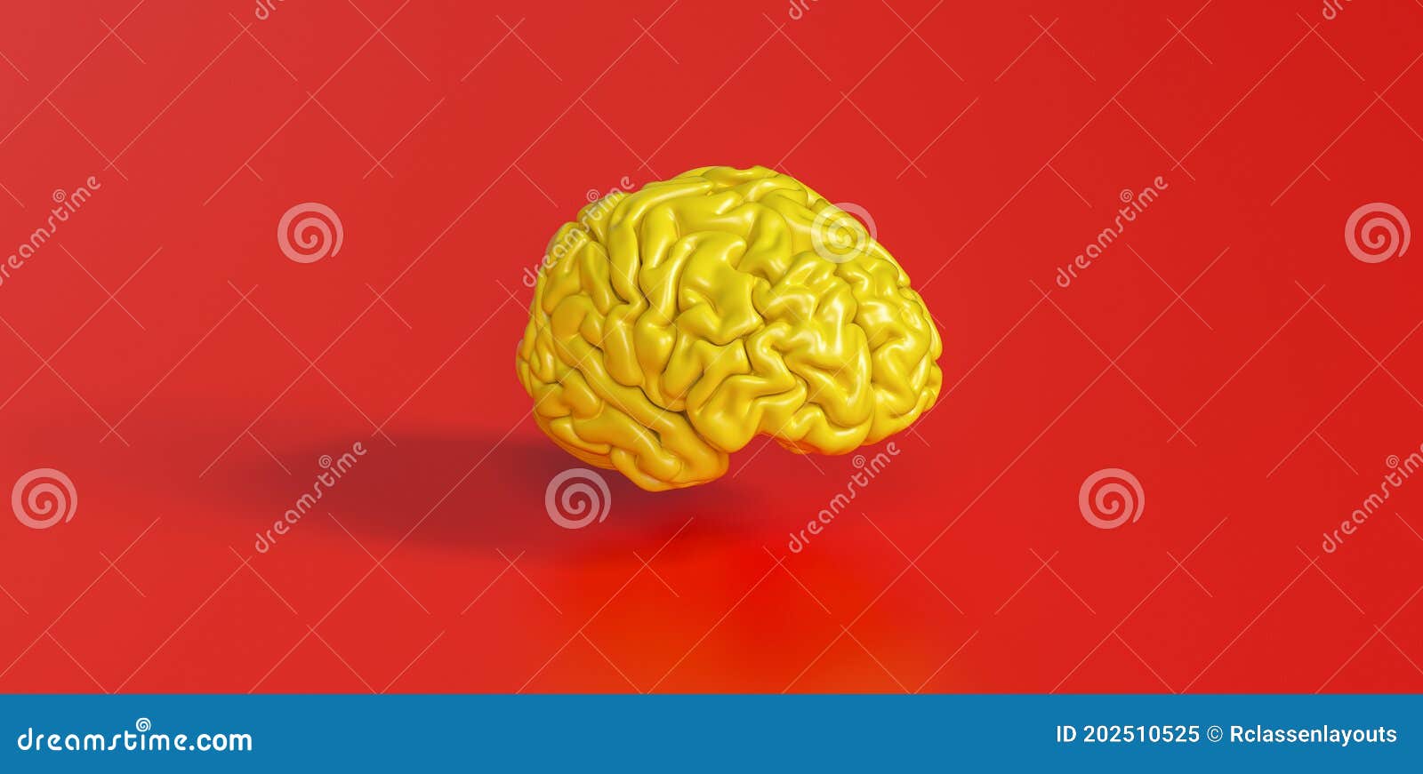 Yellow Human Brain Against Red Background Anatomical Model on Floor ...