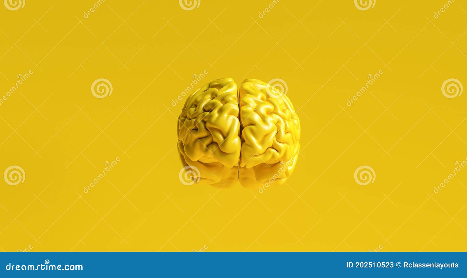 Yellow Human Brain Against Yellow Background Anatomical Model on Floor ...