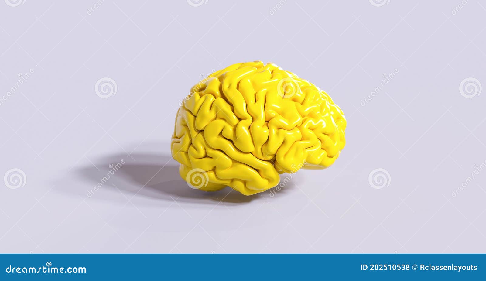 Yellow Human Brain Anatomical Model Stock Illustration - Illustration ...