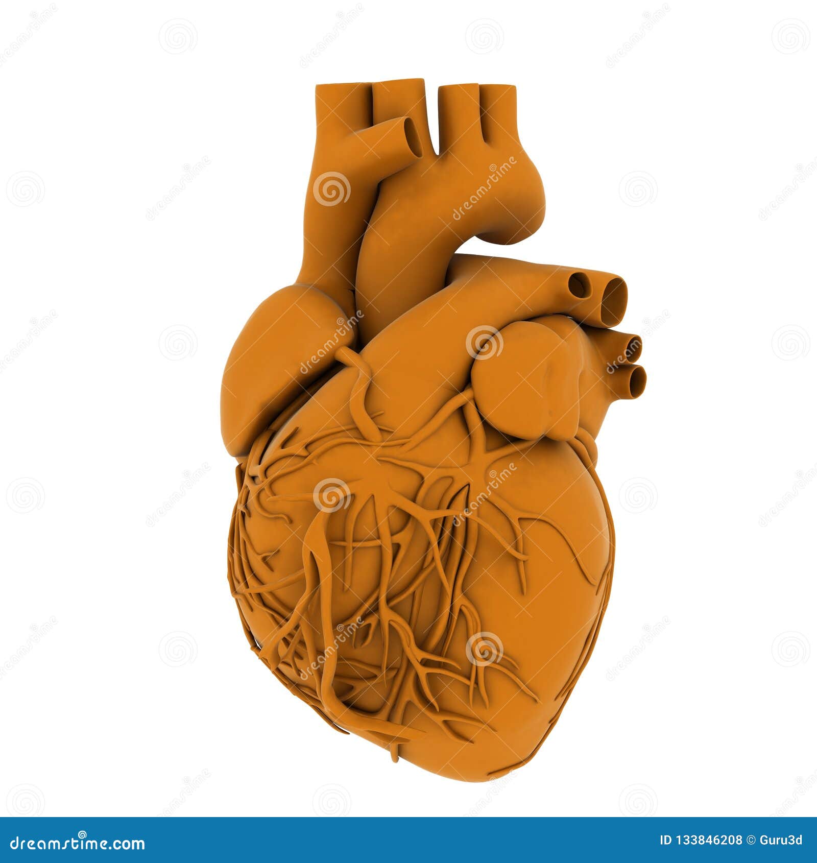 Yellow human heart stock illustration. Illustration of medical - 133846208