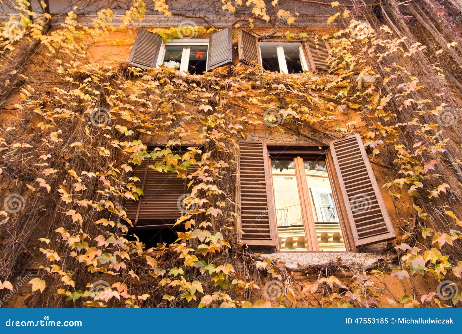 Yellow Ivy on the Facade of House Stock Image - Image of beauty, autumn ...